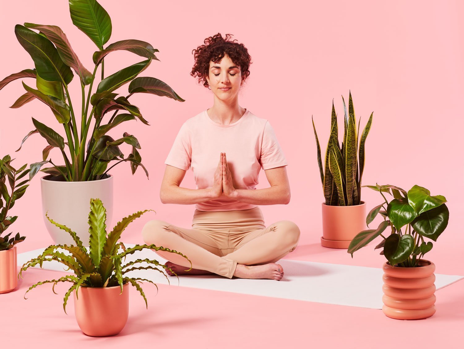 Your Ultimate Guide To Creating Meditation And Yoga Room With Plants ...