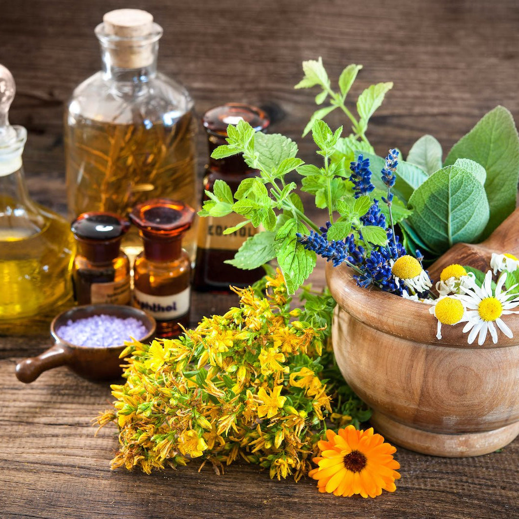 Worried of Snakes ? Top 30 Powerful Plants that Repel Snakes Away ...