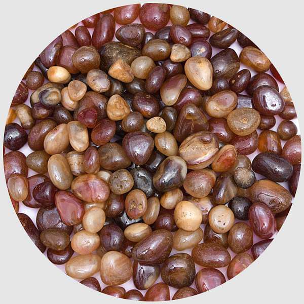 Buy Medium Pebbles online from Nurserylive at lowest price.