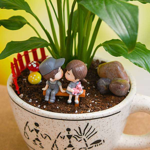 Buy Miniature Gardens & Kits online from Nurserylive at lowest price.