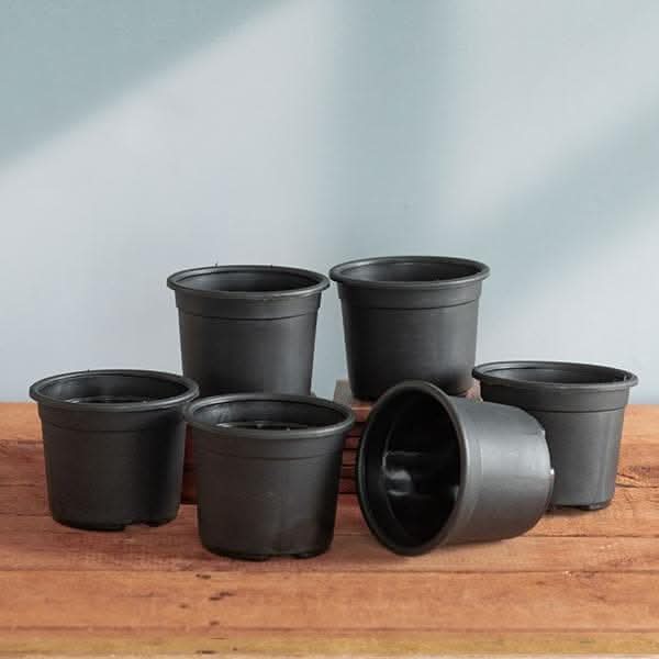 Buy 5 inch Grower Round Plastic Pot Black (set of 6) online from ...