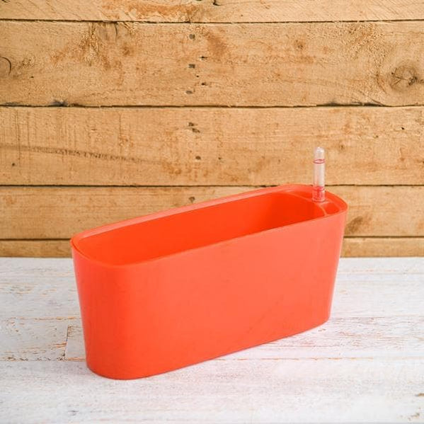 Buy Rectangular Planters online from Nurserylive at lowest price.