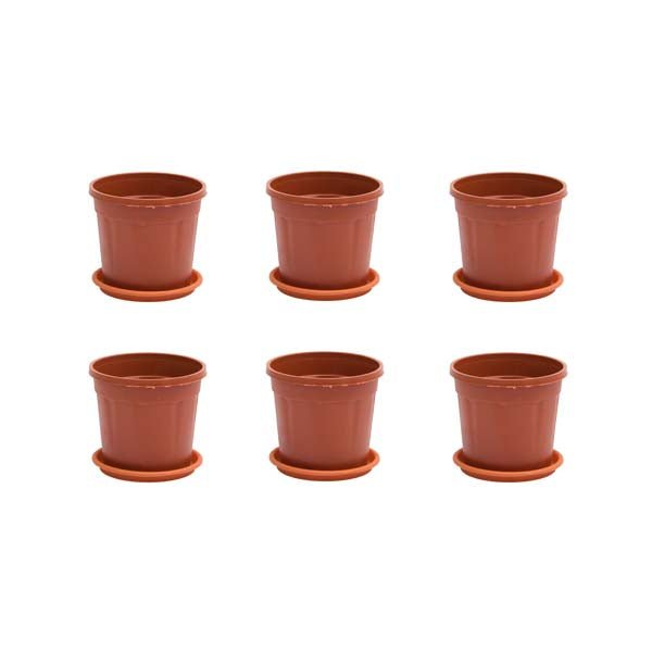 Buy 3 inch (8 cm) Grower Round Plastic Pot online from Nurserylive at ...