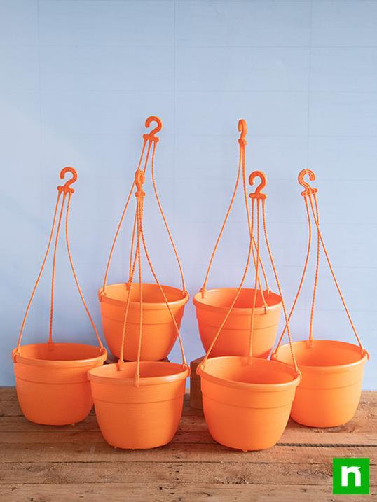 Buy Orange Color Planters online from Nurserylive at lowest price.