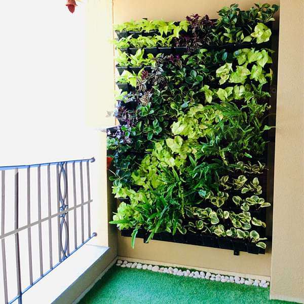 Buy Green Wall for One Side Closed Balcony Garden online from ...