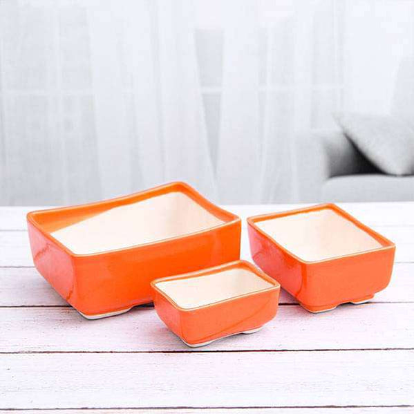 Buy Rectangular Planters online from Nurserylive at lowest price.