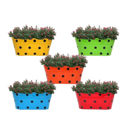 Buy Red Color Planters online from Nurserylive at lowest price.