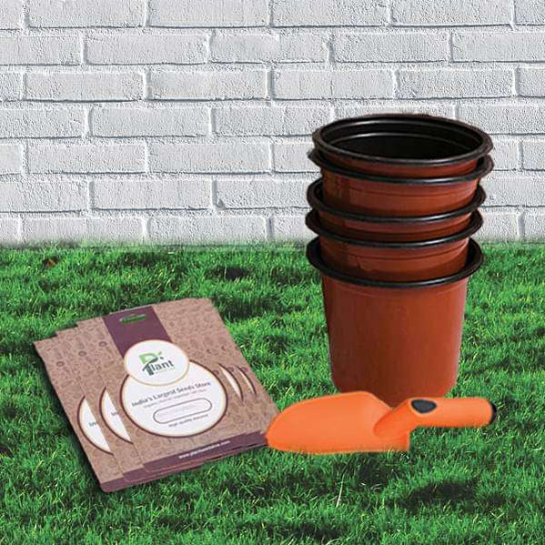 Buy Garden Kits online from Nurserylive at lowest price.