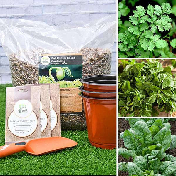 Buy Garden Kits online from Nurserylive at lowest price.