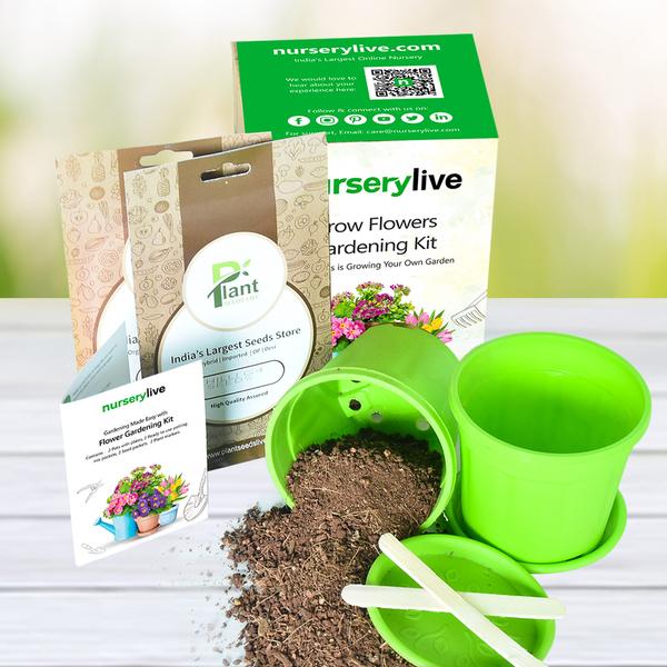 Buy Gardening Made Easy with Flower Gardening Kit online from ...