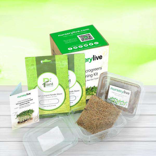 Buy Gardening Made Easy with Microgreens Grow Mat Gardening Kit ...