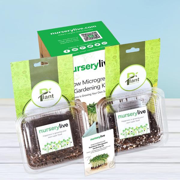 Buy Gardening Made Easy with Nutritious Microgreens Gardening Kit ...