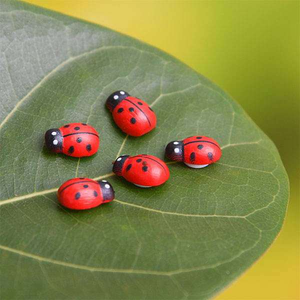 Buy Ladybug plastic miniature garden toys - 5 Pieces online from ...