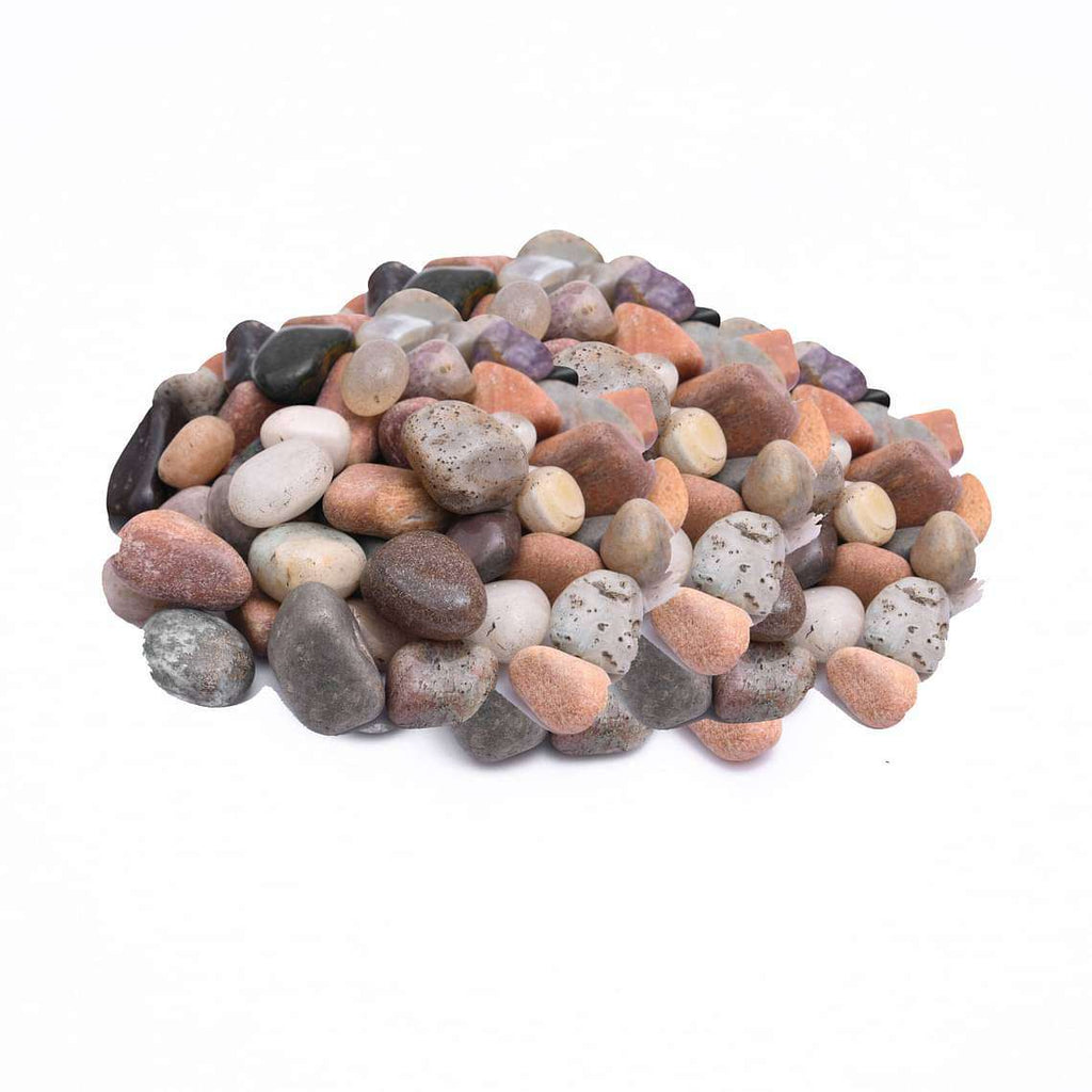 Buy Pebbles by Size online from Nurserylive at lowest price.