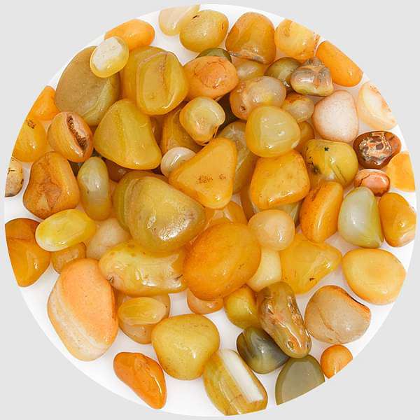 Buy Onex Pebbles (Occur Yellow, Medium) - 1 kg online from Nurserylive ...