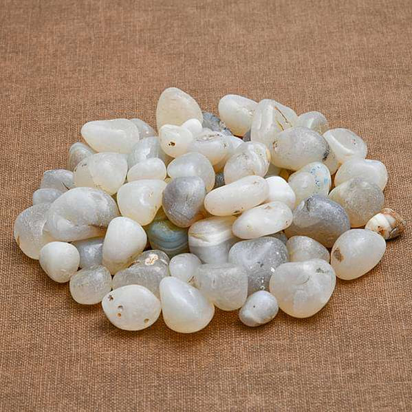 Buy Pebbles online from Nurserylive at lowest price.