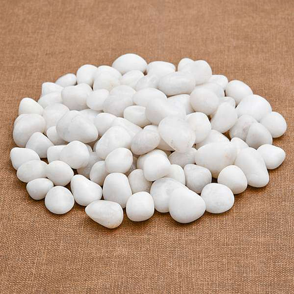 Buy Pebbles by Size online from Nurserylive at lowest price.