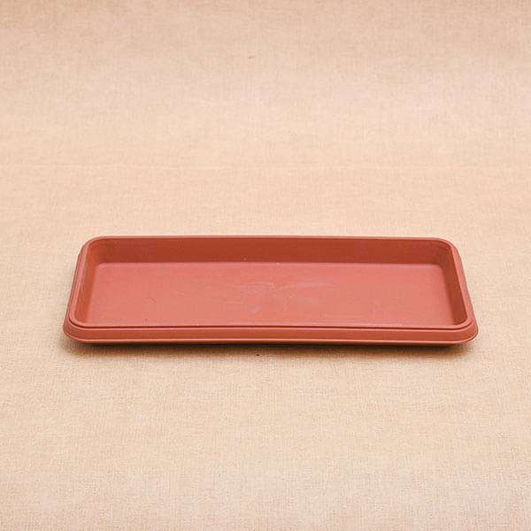 Buy 11.2 inch (28 cm) Rectangle Plastic Plate for 11.8 inch (30 cm ...