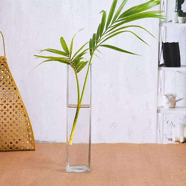 Buy Glass Planters online from Nurserylive at lowest price.