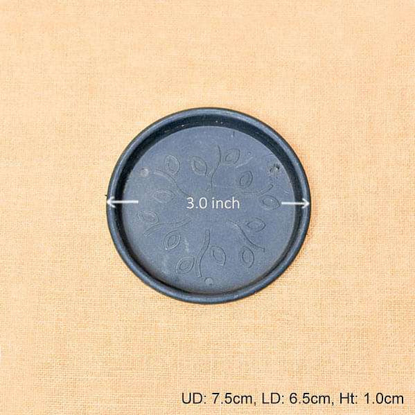 Buy Planter Plates online from Nurserylive at lowest price.