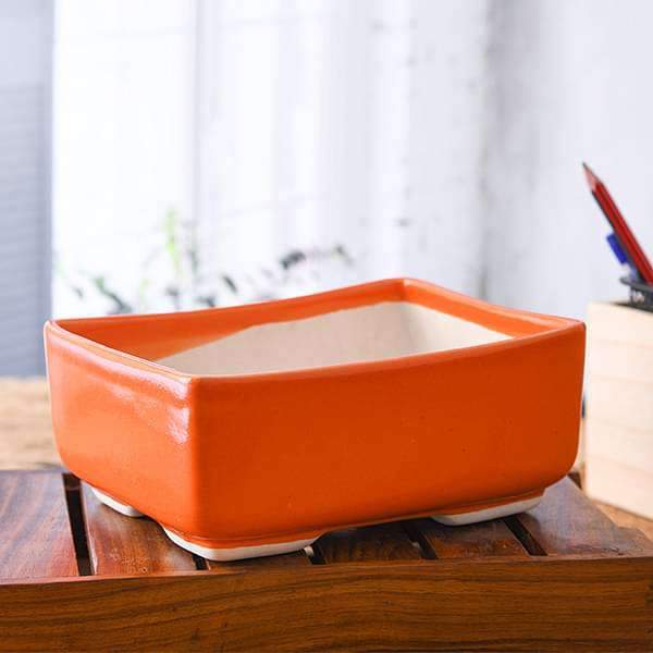 Buy 6.6 inch (17 cm) Bonsai Rectangle Ceramic Pot (Orange) (set of 2 ...