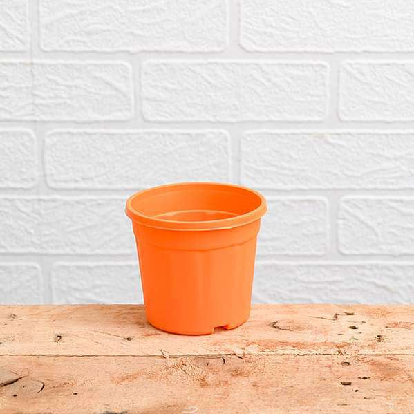 Buy Orange Color Planters online from Nurserylive at lowest price.
