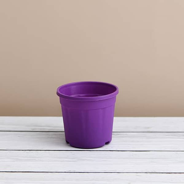 Buy Purple Violet Color Planters online from Nurserylive at lowest price.