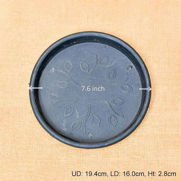 Buy Planter Plates online from Nurserylive at lowest price.