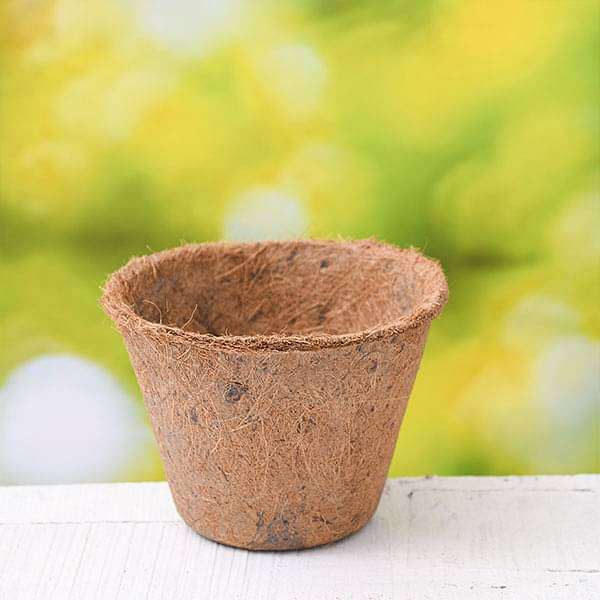 Buy 7 inch (17.8 cm) XL Coco Round Pot (Brown) (set of 6) online from ...