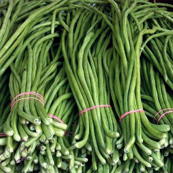 Buy Lobia Beans - Desi Vegetable Seeds online from Nurserylive at ...