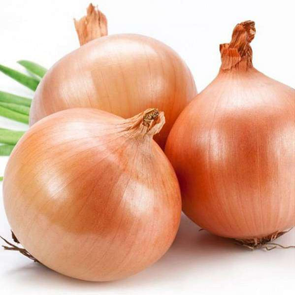 Buy Onion Seeds online from Nurserylive at lowest price.