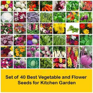 Buy Set of 40 Best Vegetable and Flower Seeds for Kitchen Garden online ...