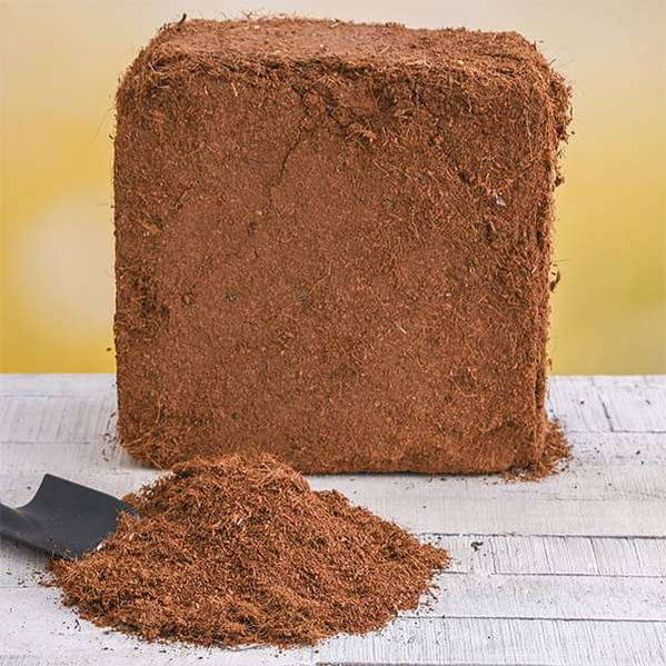 Buy Cocopeat online from Nurserylive at lowest price.